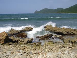 BAHIA DE PATANEMO - Venezuela Tuya