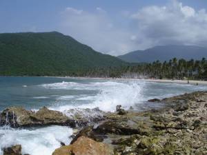 BAHIA DE PATANEMO - Venezuela Tuya