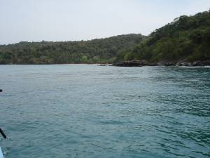 playa caribe - chuspa - edo. vargas - Venezuela Tuya
