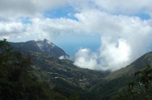 en galipan - Venezuela Tuya