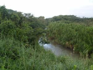 RIO TUY - Venezuela Tuya
