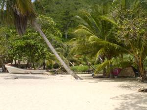 Esperanza de Playa CEPE - Venezuela Tuya