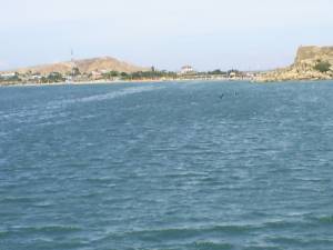 Araya - Venezuela Tuya