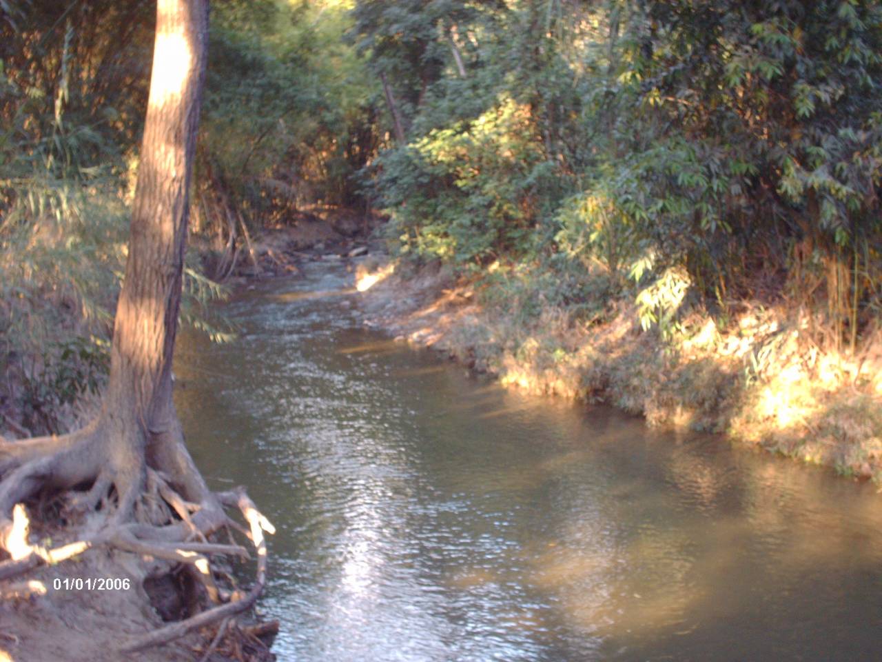 Rio Tuy - Venezuela Tuya