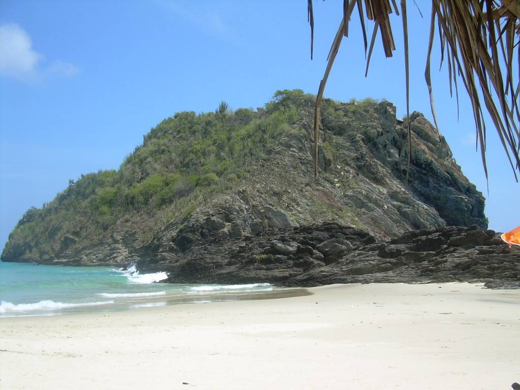 CATICA - Venezuela Tuya