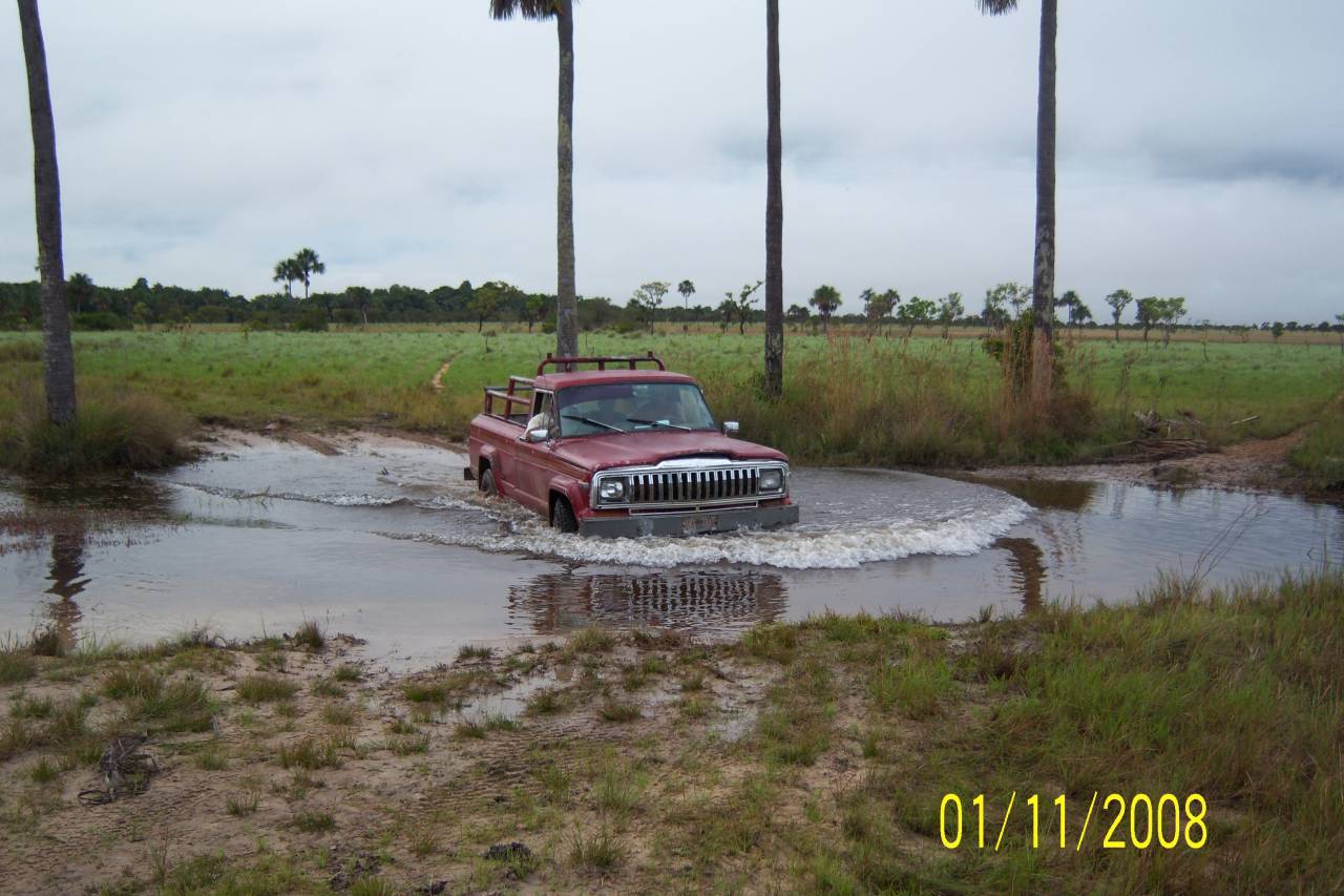 capanaparo - apure - Venezuela Tuya