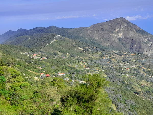 Galipan - Venezuela Tuya