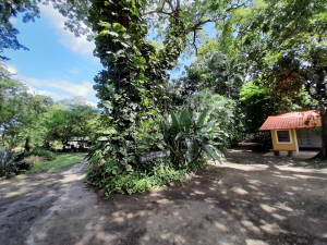 Zoológico Leslie Pantin - Turmero - Venezuela Tuya