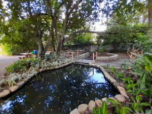 Zoológico Leslie Pantin - Turmero - Venezuela Tuya