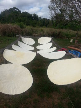 El Casabe - Venezuela Tuya