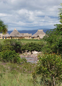 Raimundo Andueza Palacio - Venezuela Tuya