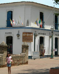 Tijereta de mar - Venezuela Tuya