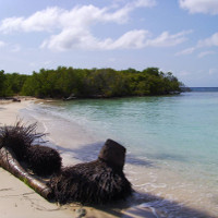 Danta - Venezuela Tuya