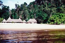 Campamento CauramaRío Caura - Venezuela Tuya