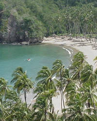 Venezuela Tuya... - Venezuela Tuya