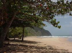 Hotel La ColinaCarúpano - Oriente - Venezuela Tuya